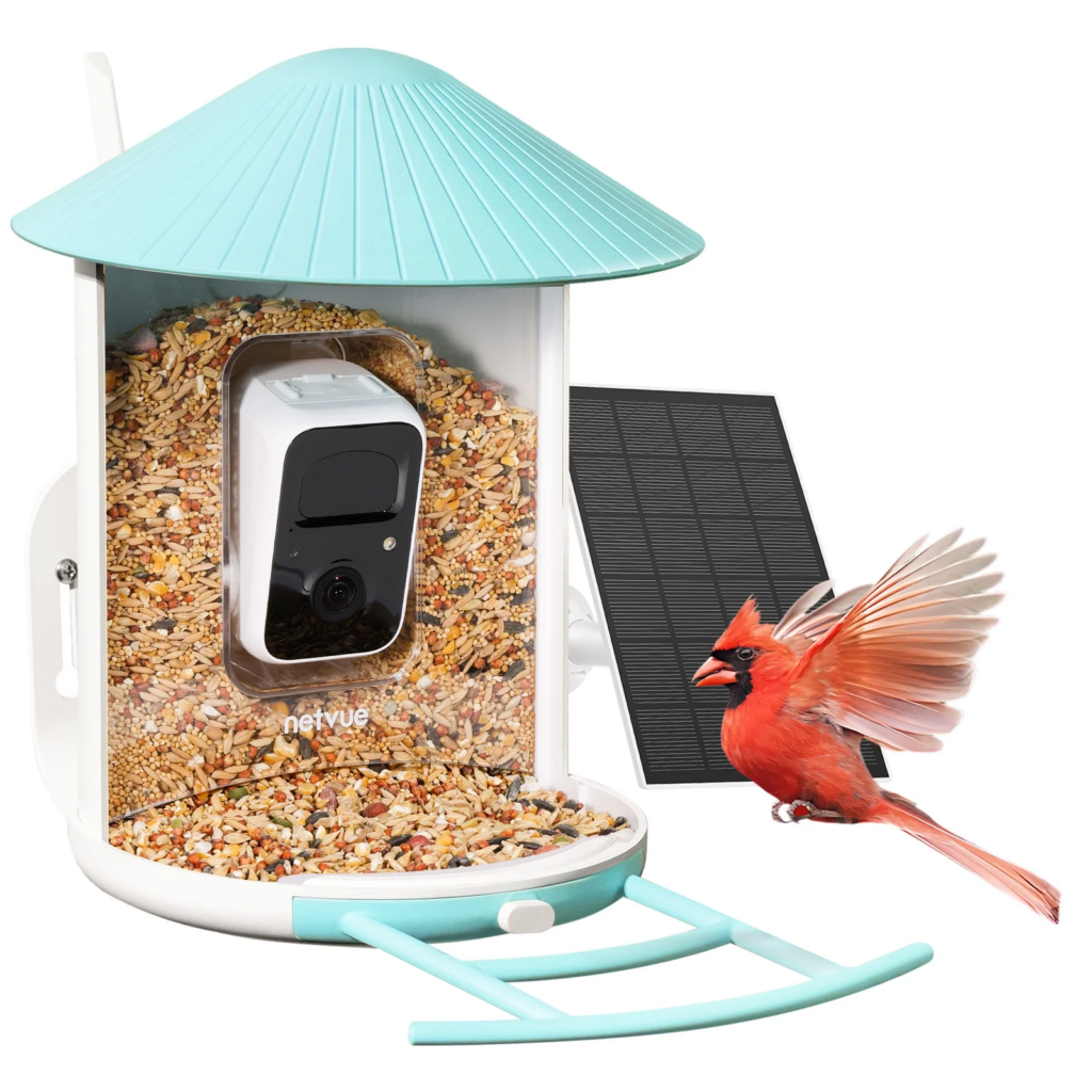 Bird Feeder with Camera, Netvue Birdfy Smart Bird Watching Camera with ...